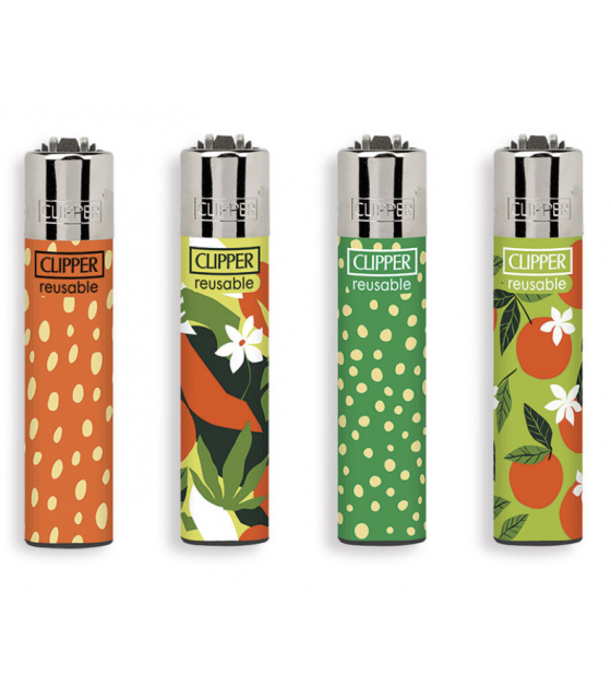 Vendita Accendini Clipper